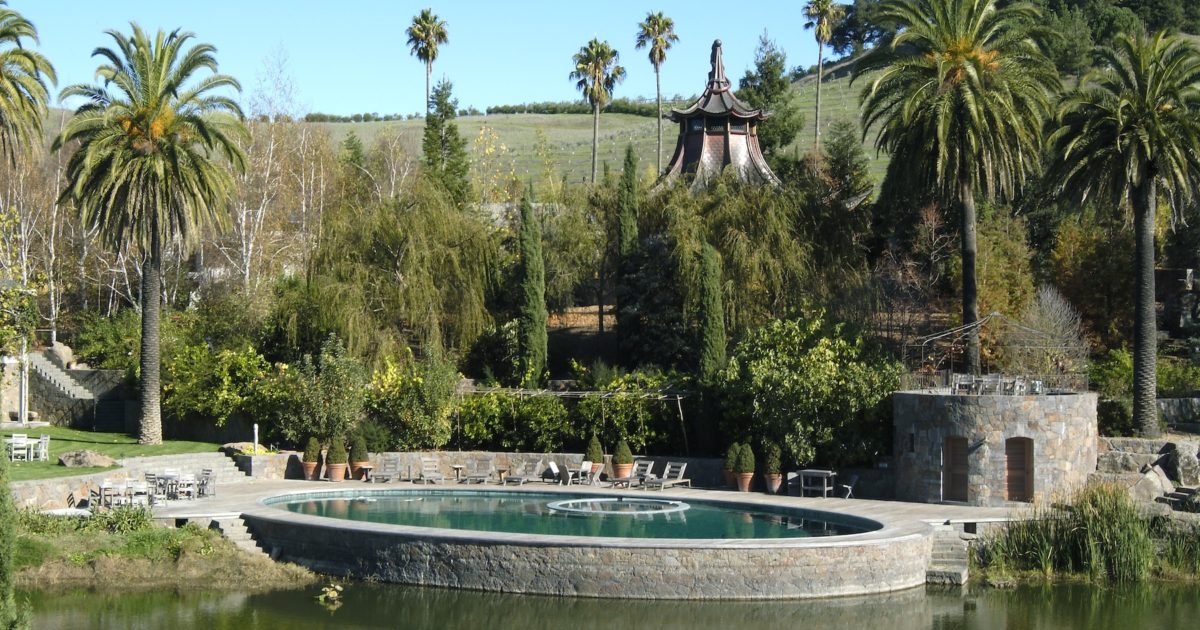 Elliptical Pool Coping Solid Mahogany wood- Contemporary Design